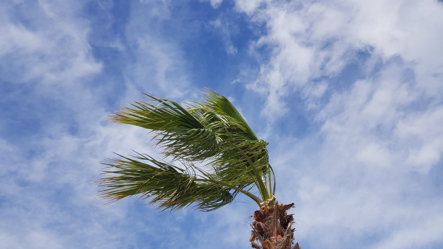 METEO: da sabato 13 vampate calde e scodate temporalesche - MeteoLive.it